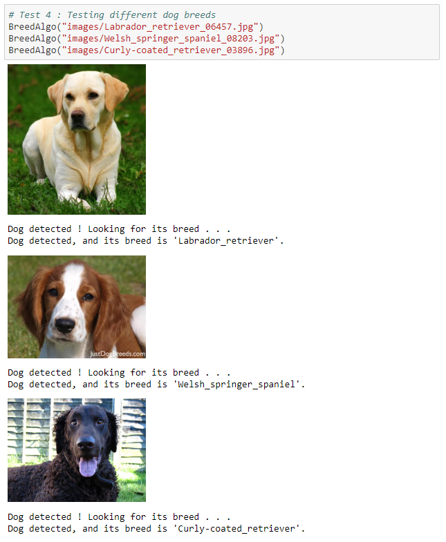 Deep Learning : Dog Breed Classifier using CNNs | by PraTeek Vyas | Jul ...