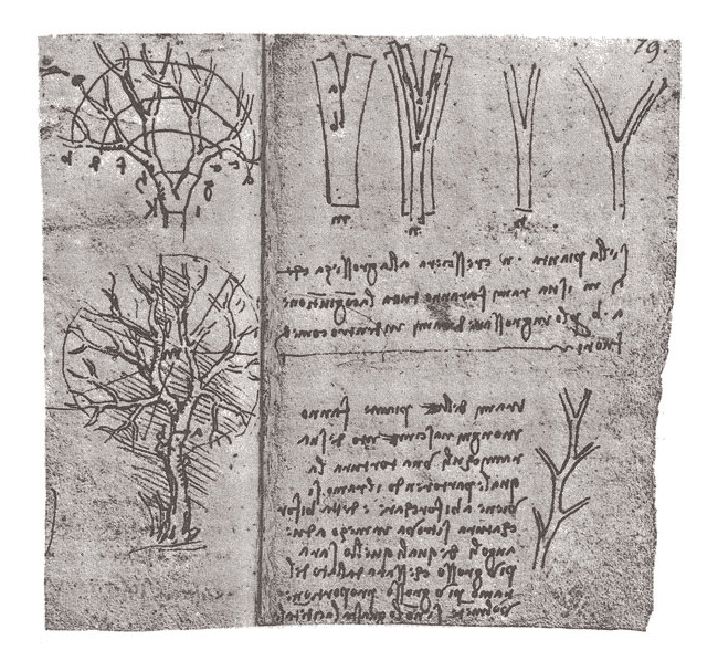 How Do Trees Grow?. Leonardo da Vinci, the master of… | by Eylul Erdal | The Istanbul Chronicle ...