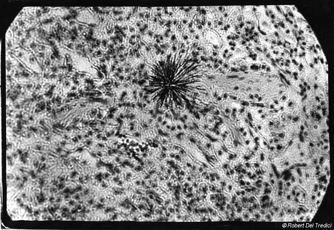 Depleted uranium, the worst weapon of mass destruction — cynical and ...