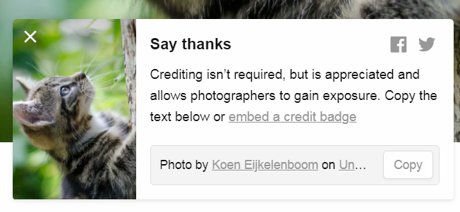 How and Why to Cite Stock Photos in Your Medium Stories | by Stella J ...