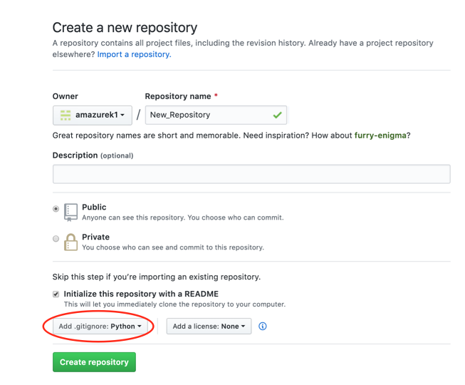 How to Create a Github Repository | by Aviva Mazurek | Medium