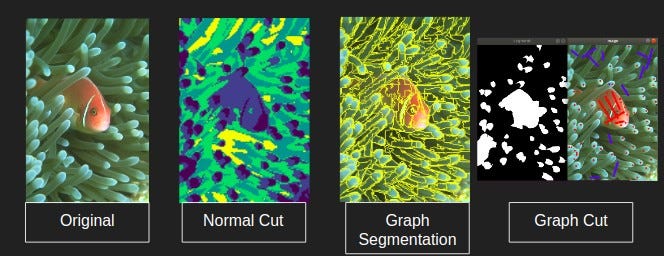Image Segmentation Techniques using Digital Image Processing, Machine Learning and Deep Learning ...