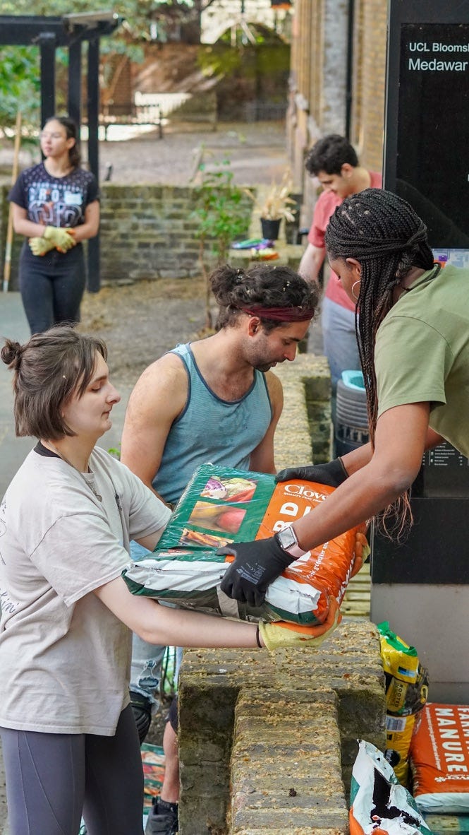 UCL Medawar Gardens — Students’ Rewilding Initiative | by Aude Vuilli ...