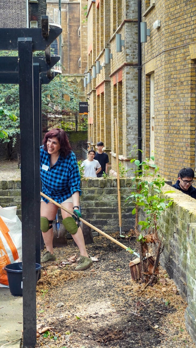 UCL Medawar Gardens — Students’ Rewilding Initiative | by Aude Vuilli ...