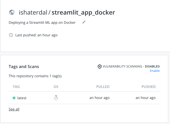 Deploying a Streamlit App with Docker | by Isha Terdal | Medium