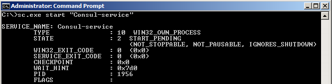 Install Hashicorp Consul agent on Windows Server | by İlham Bayramov ...