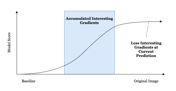 Deep Dive into Neural Network Explanations with Integrated Gradients ...