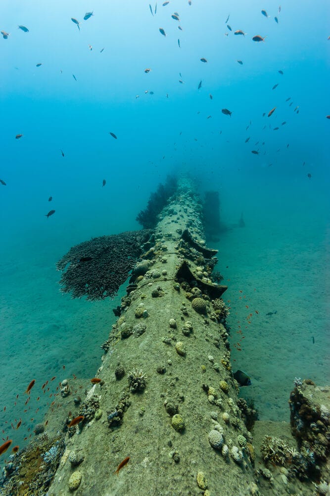 Biofouling on deepwater applications: how big a problem? | by Aquasign ...