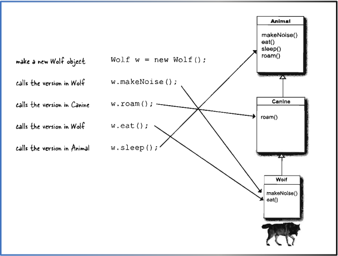 Inheritance and Polymorphism. Living in Objectville | by Thamindu ...