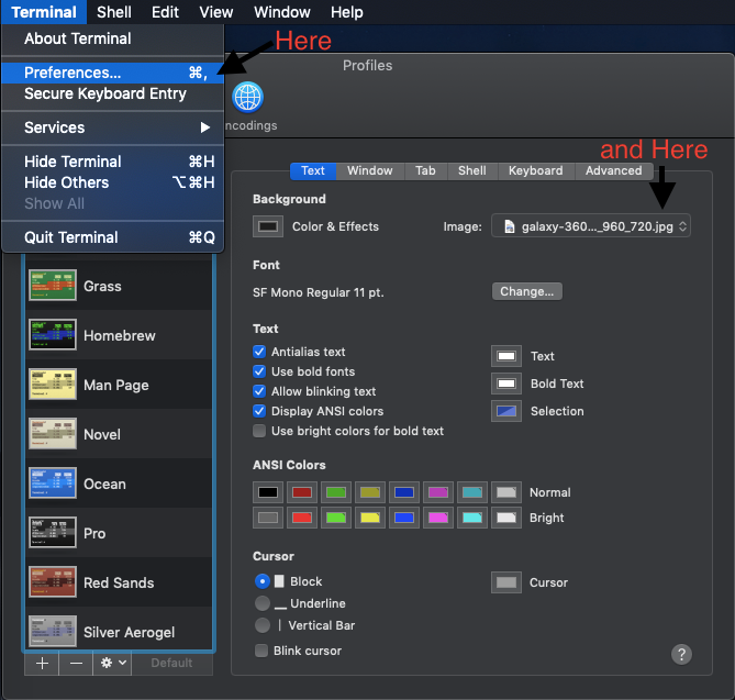 Simple Terminal Customization. Recently, I learned that a pretty… | by ...