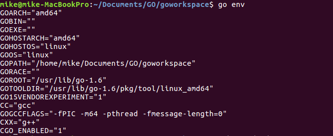 Go: Development setup and overview | by iOSTom | LearningGo | Medium
