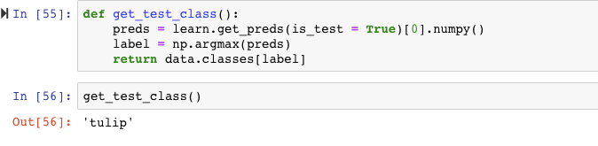 Building a Flower Classifier using Fast.ai | by Aakanksha NS ...