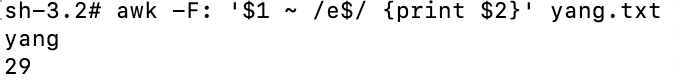 8 Levels of Using awk in Linux. Explaining with simple examples | by ...