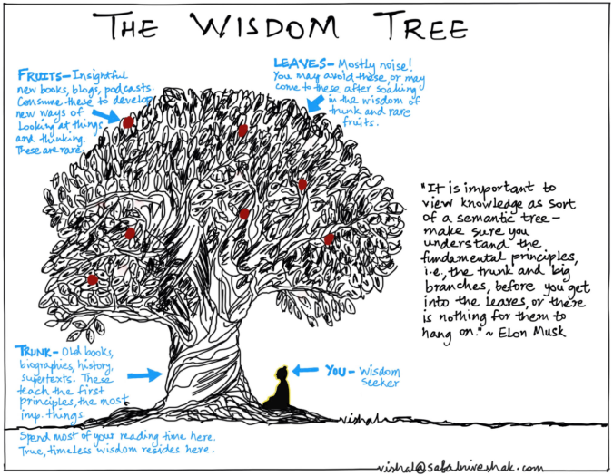 The Difference Between Knowing and Understanding | Curious