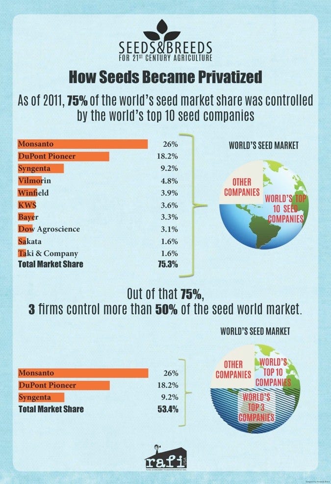 The Monopolization of the Seed Industry | by Italia Cardenas | Medium