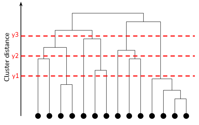 Hierarchical clustering explained | by Prasad Pai | Towards Data Science