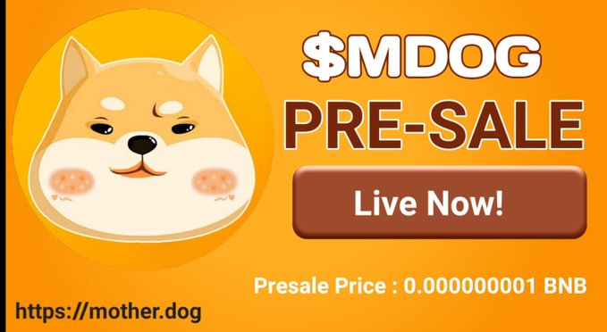 Welcome to Motherdog($MDOG) Project. | by Jon | Medium