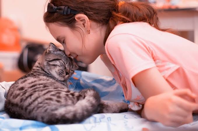 “TAKING CARE OF CATS". These days, cats are among the most… | by Taurus ...
