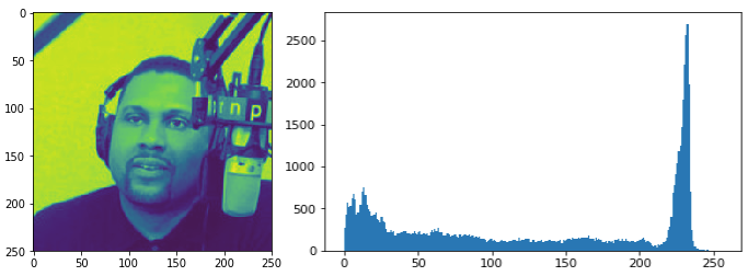 Convolutional Neural Network (CNN) for a Dog Identification App | by ...