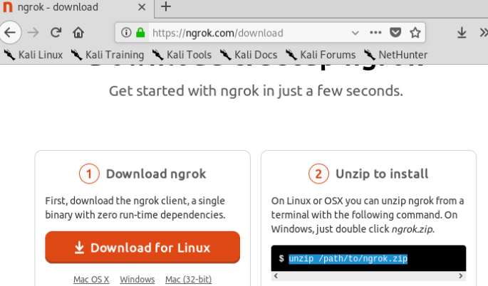 Usando Ngrok no kali linux. Aviso: O conteúdo que se apresenta… | by ...
