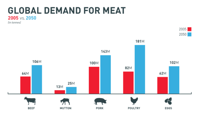 The challenges and prospects of societal acceptance of lab-grown meat ...