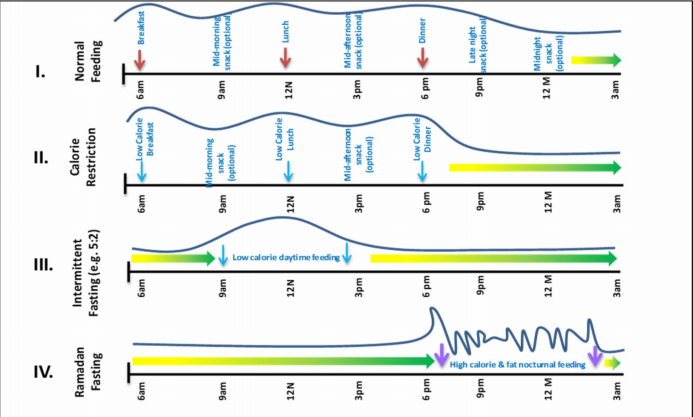 How Ramadan Fasting Shapes Our Understanding of Time-Restricted Eating ...