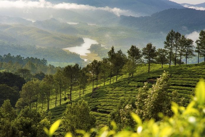 These Are The Best Places To Visit In India During Monsoon | by Travel ...