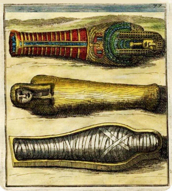 The Victorians Were Mad for Mummies | by Margo Lestz | Medium