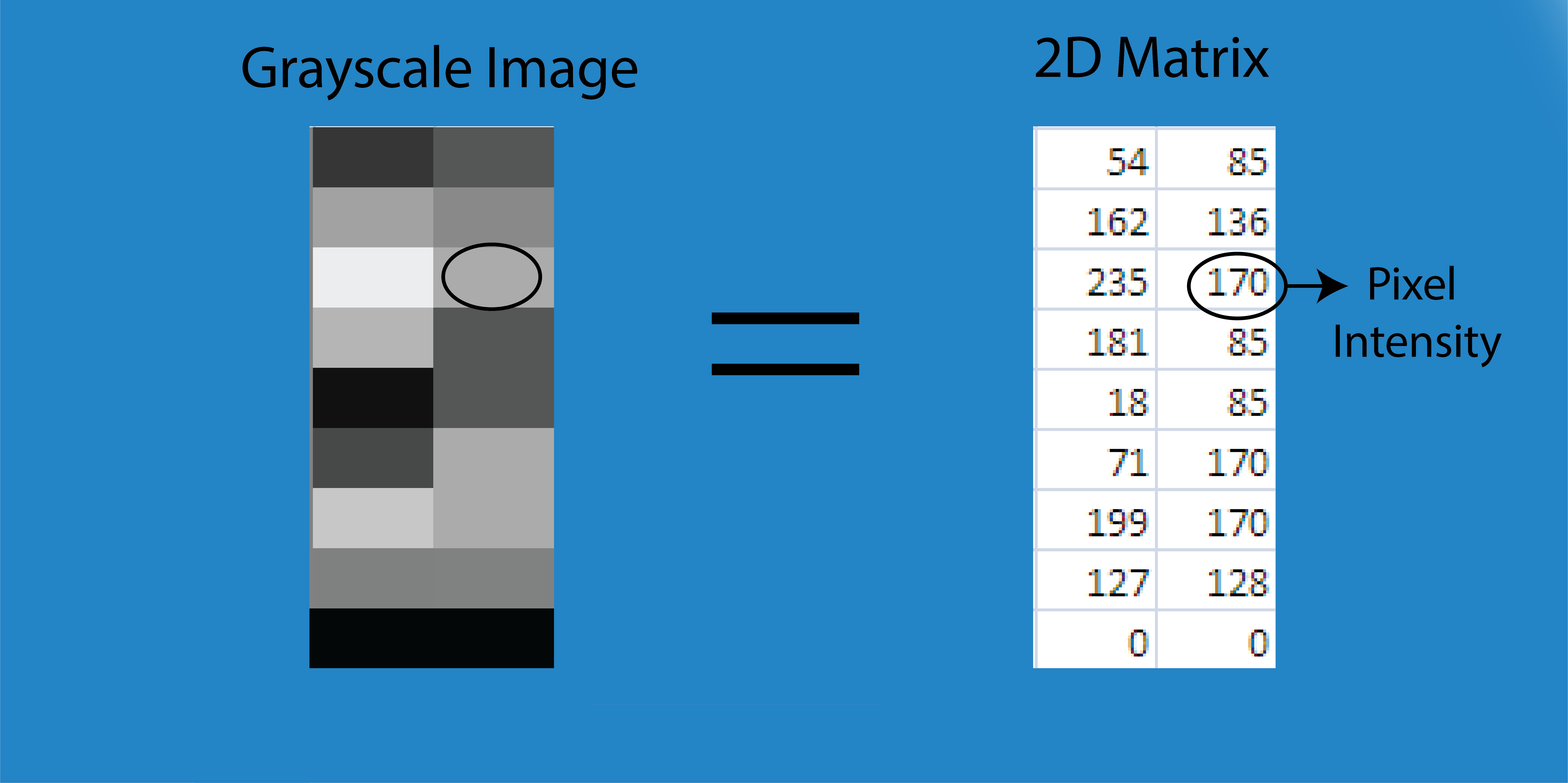 Spatial and Frequency Domain — Image Processing | by Anshul Sachdev | VITHelper | Medium