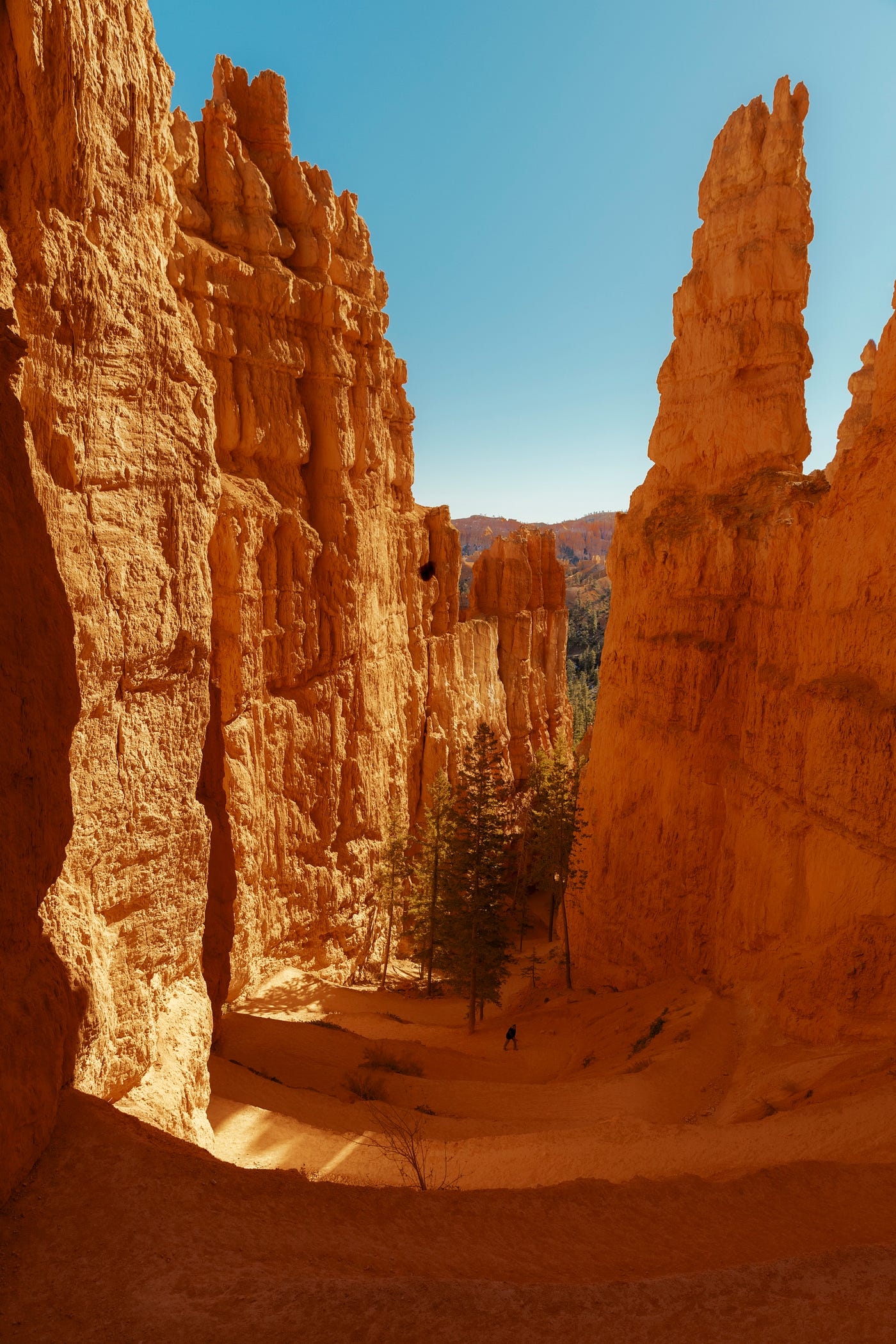 5 Best Hikes at Bryce National Park | by Darin Gatlin | Mar, 2022 | Medium