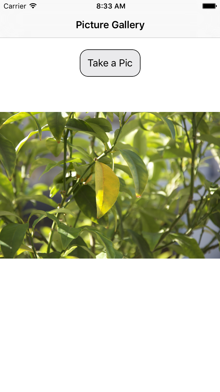 Stateful Nativescript picture gallery app with Font Awesome 5 icons | by Angel Dominguez | Medium