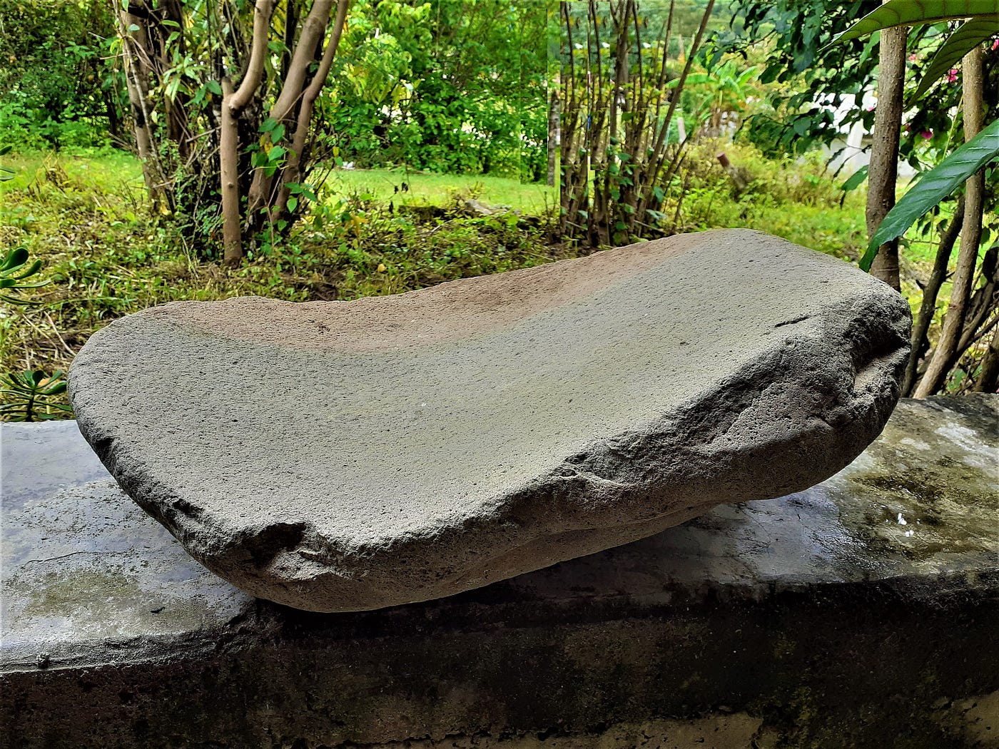 Metate. Connecting with a dord* from last year | by Avi Kotzer | Silly ...