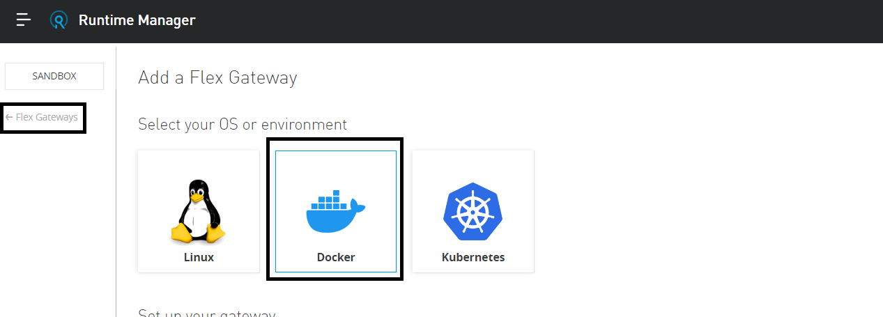Setup Anypoint Flex Gateway In Connected Mode As An Docker Container — Part 1 By Jitendra