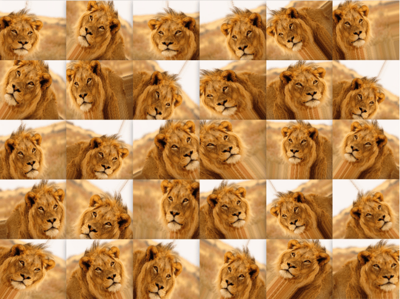 Understanding Image Augmentation Using Keras(Tensorflow) | by Sai Durga ...