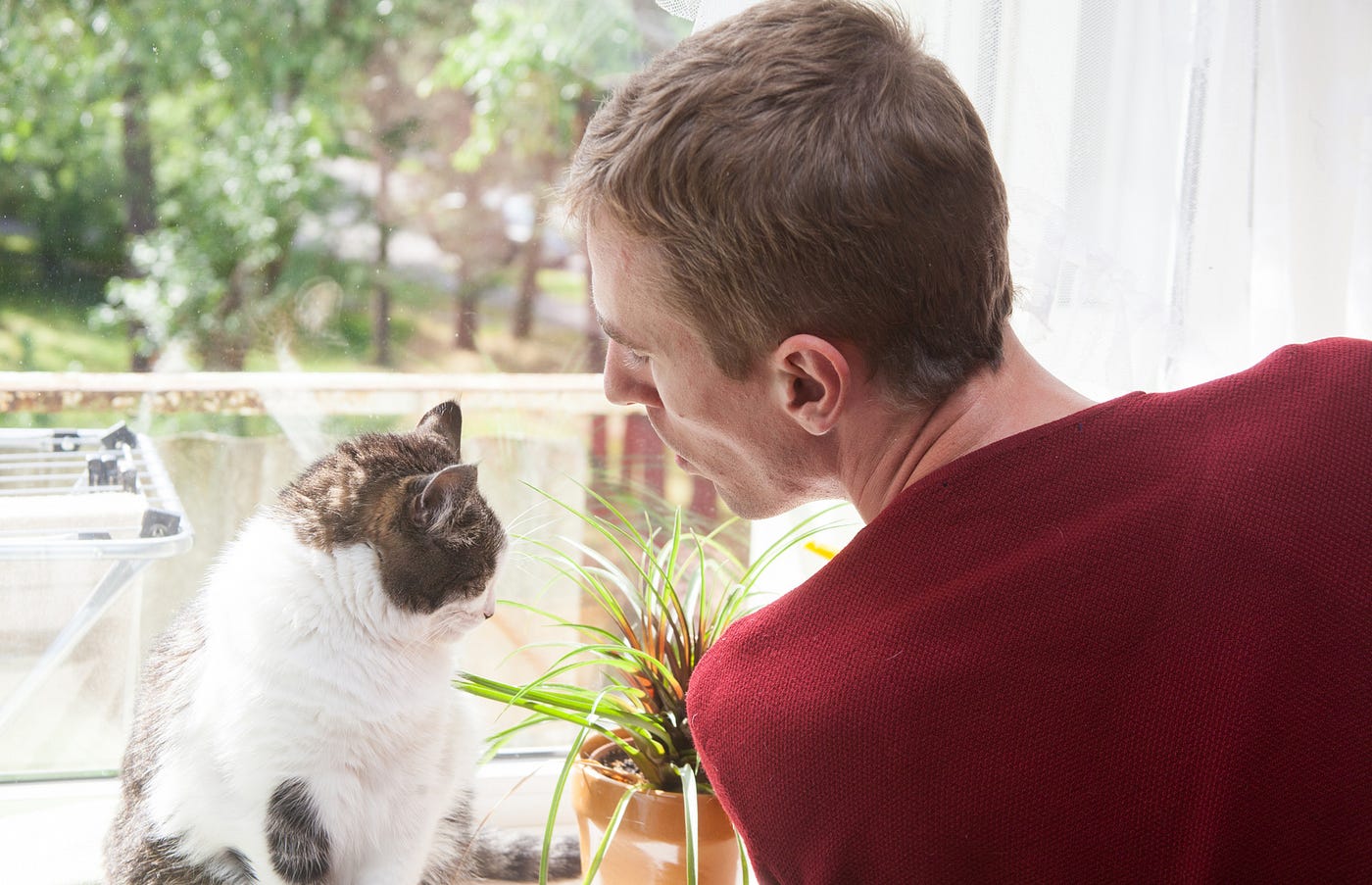 15 things you didn’t know about cat lovers | by The b | The b | Mar ...
