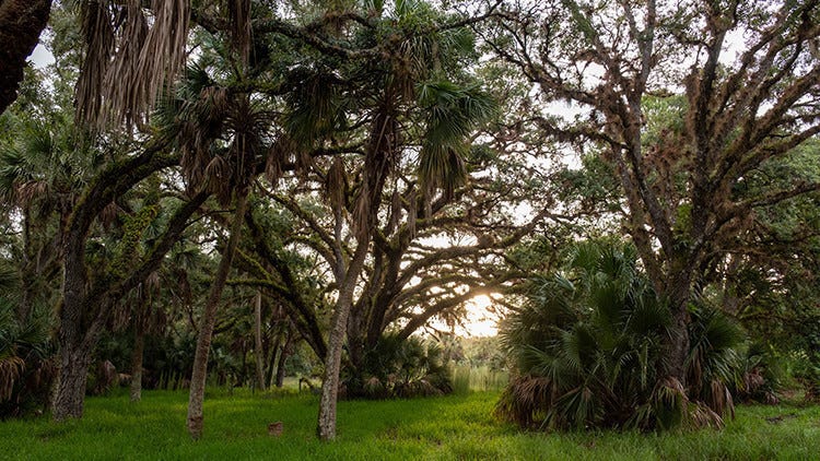 10 Most Haunted Places in Florida to Spook Your Summer Vacation! | by ...