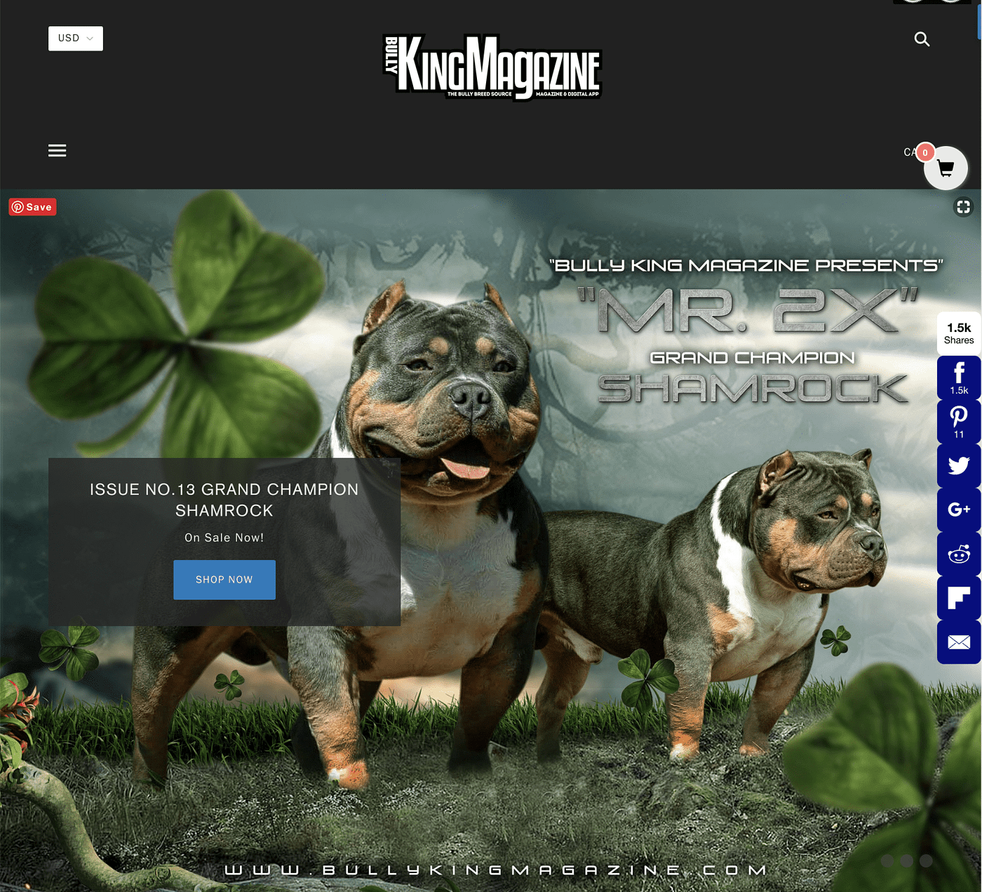 AMERICAN BULLY ADVERTISING & PROMOTION | by BULLY KING Magazine | BULLY ...