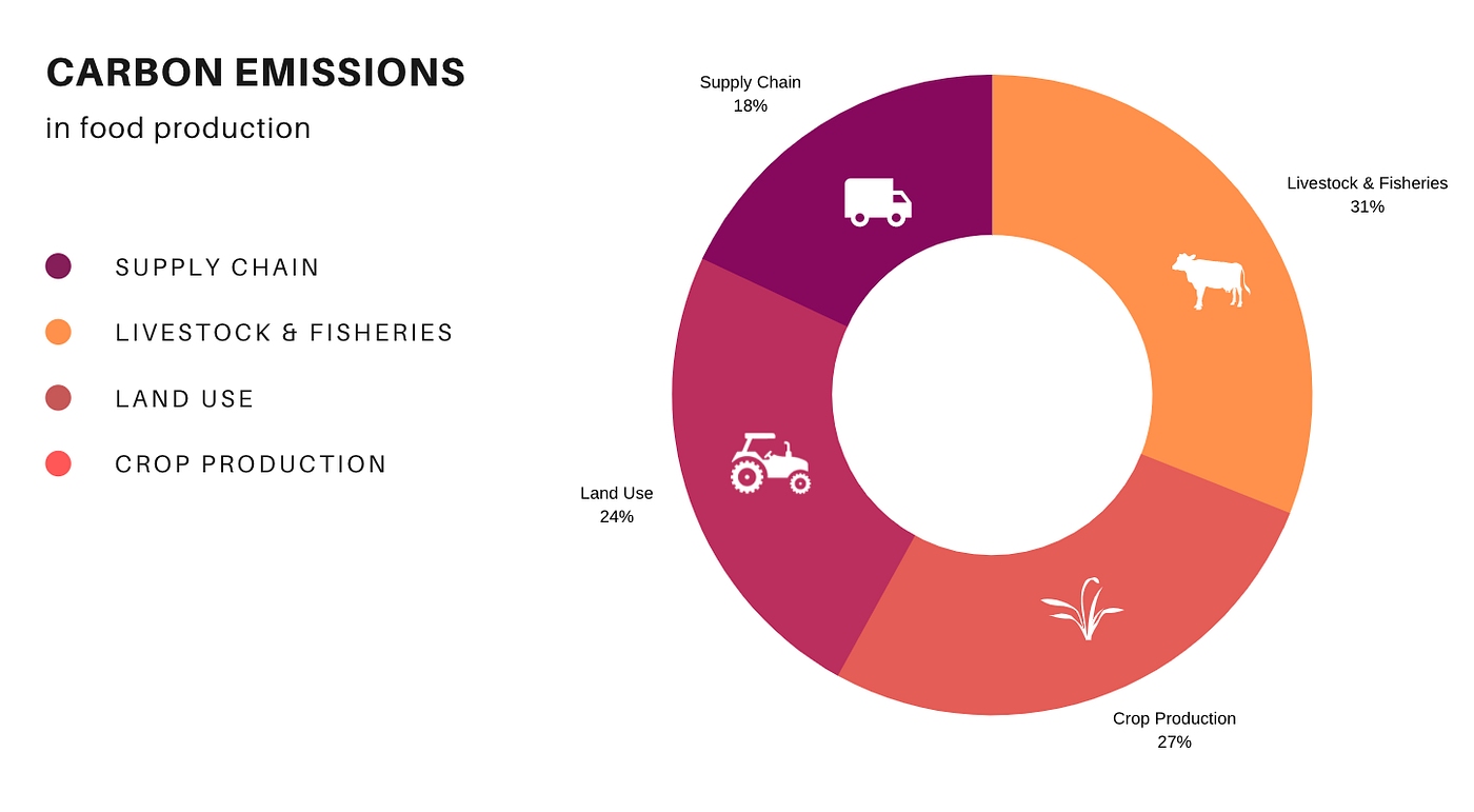 Watch Your Carbon Footprint: Food | by Carbonbase | Medium
