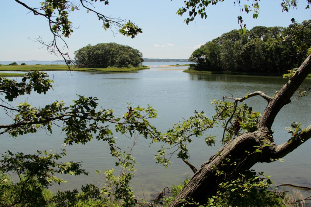 The Nature Conservancy’s Mashomack Preserve | by Steven Sands | Medium