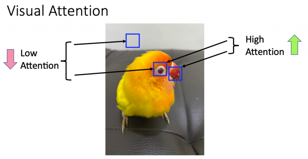An Intro To Pytorch Vision Transformer Applications Scaling Analytics And Jobs By Odsc