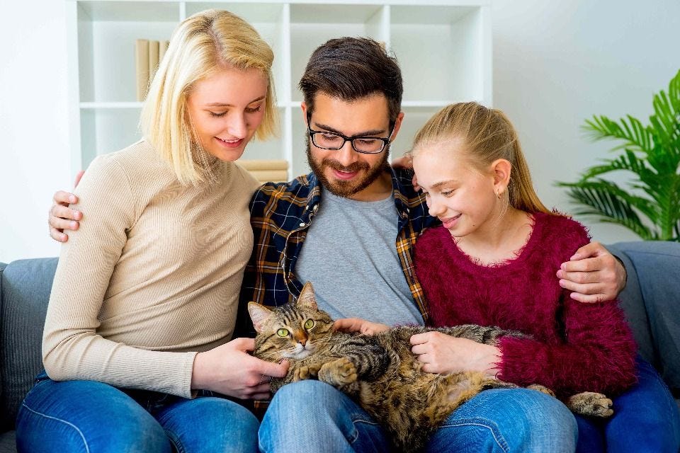 5 Tips for a Perfect Pet Portrait with Owner | by Drawberry Art | Medium