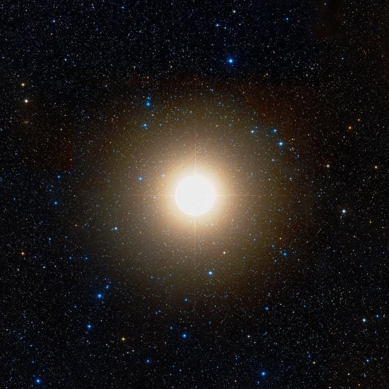 Introducing Winter’s Brightest Stars | by Jennifer Mittler-Lee ...