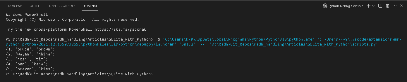 SQLite with Python. SQLite learn it the right way | by Rishov ...