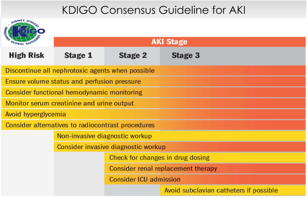 Dr. Azra Bihorac, MD, MS, on How Acute Kidney Injury Should Be Treated ...