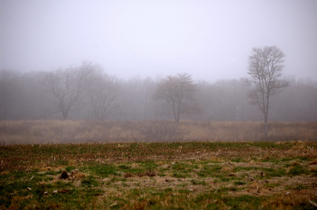 The Nature Conservancy’s Mashomack Preserve | by Steven Sands | Medium