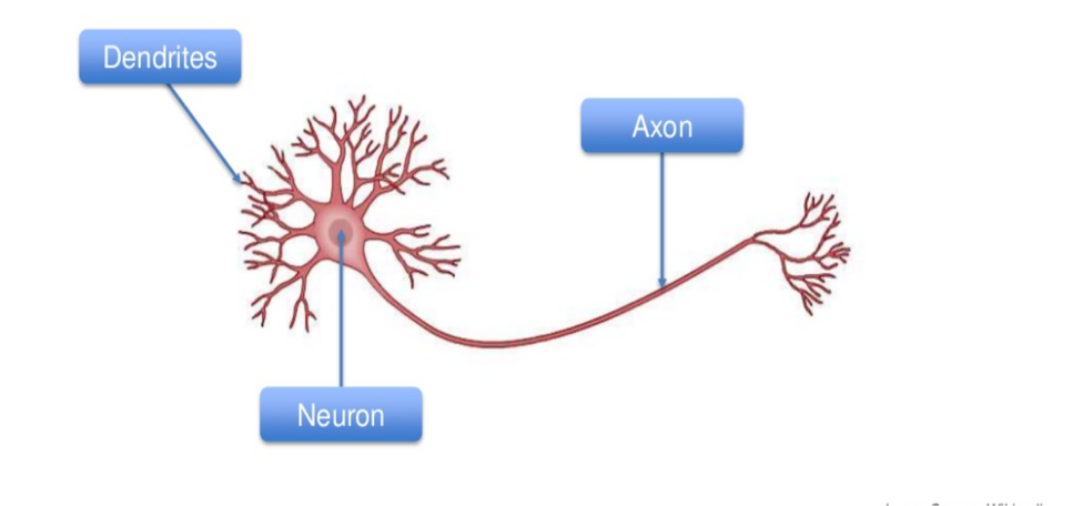 The Intuition behind Deep Learning | by Dumindu Kavinda | Analytics Vidhya | Medium