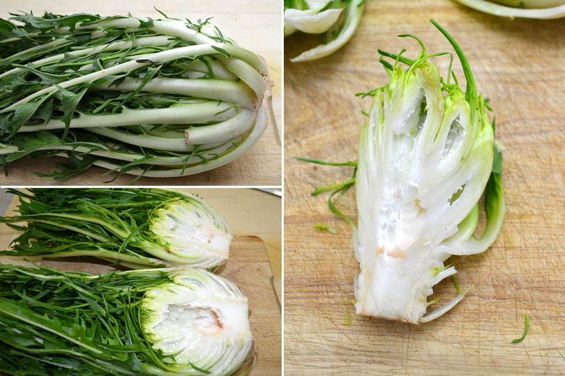 Puntarelle alla romana e catalogna in saltata in padella. | by ...