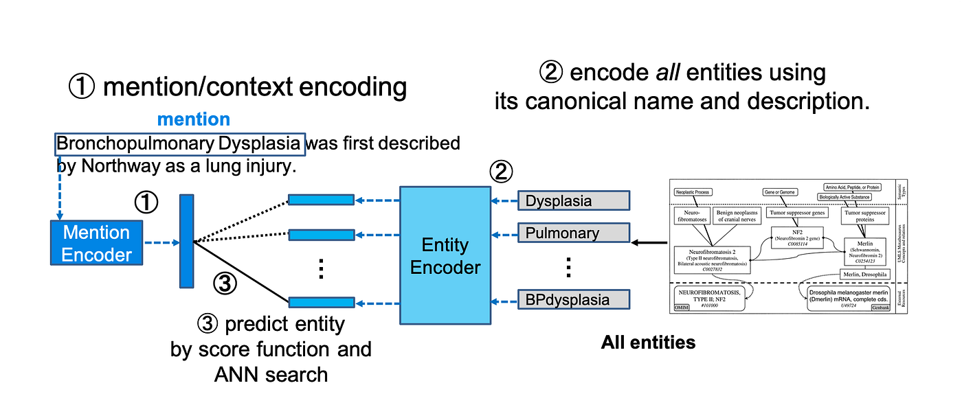 Building Transformer Based Entity Linking System By Izuna385 Nerd For Tech Medium