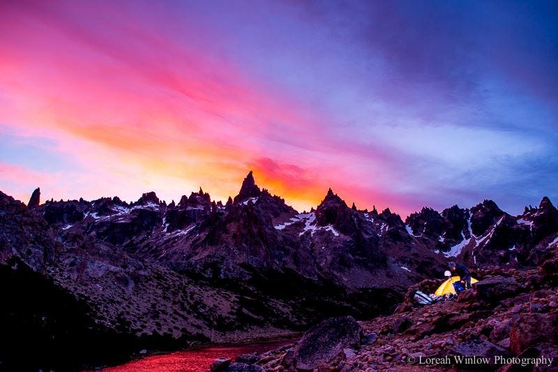 Refugio Frey Expansion: Progress or Disaster? | by Dani Reyes-Acosta ...