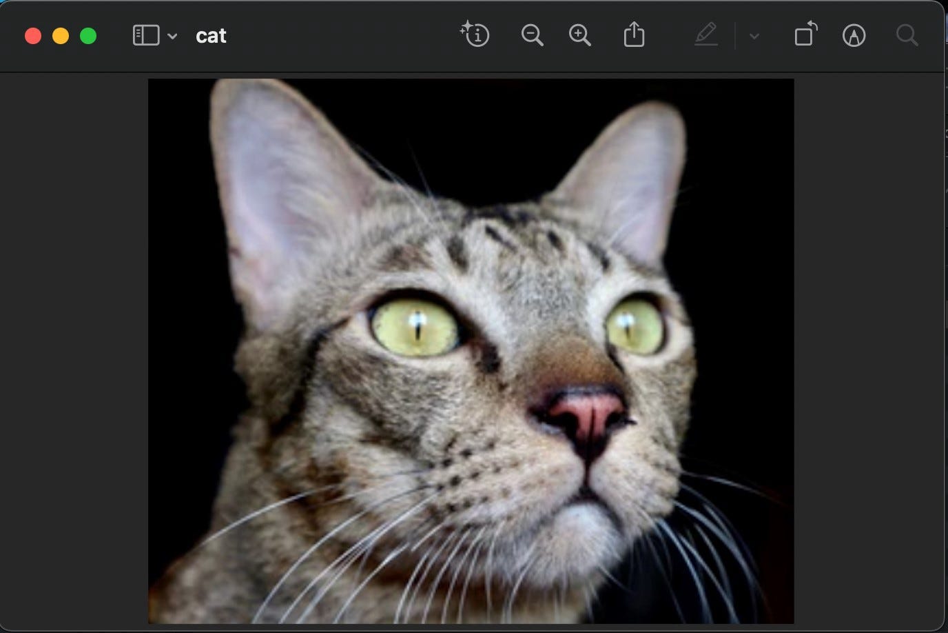 Open CV :- Basic Image Processing Functions and Detection | by Pranay ...